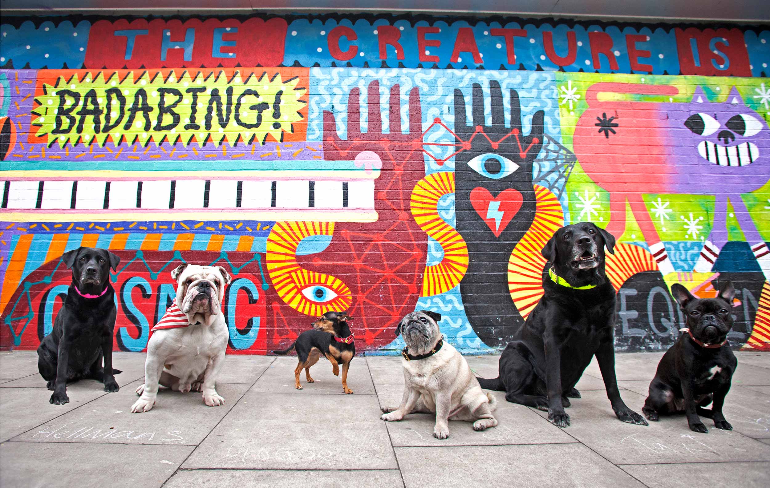 Creature Clothes - Dog and Cat Products Handmade in the UK