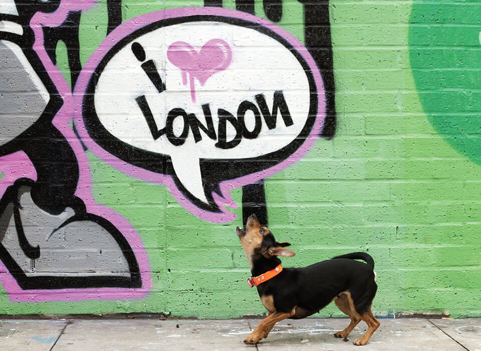 The Story of Creature Clothes